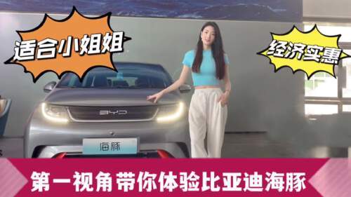 第一视角你验比亚迪海豚