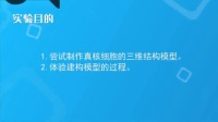 必修一3.2尝试制作真核细胞的三维结构模型