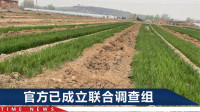 唐山丰润多村耕地被强制种树,区委书记坦言沟通不细,官方回应