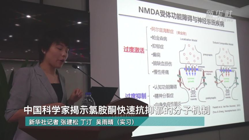 中国科学家揭示氯胺酮快速抗抑郁的分子机制