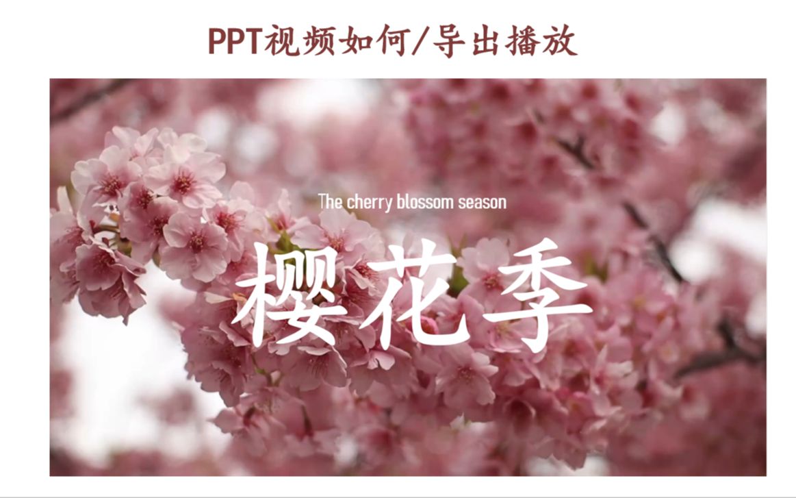视频如何在ppt上播放