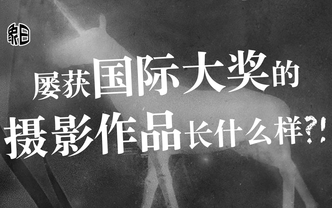 【象曰】当工科生转行做摄影(作品集 艺术 留学)