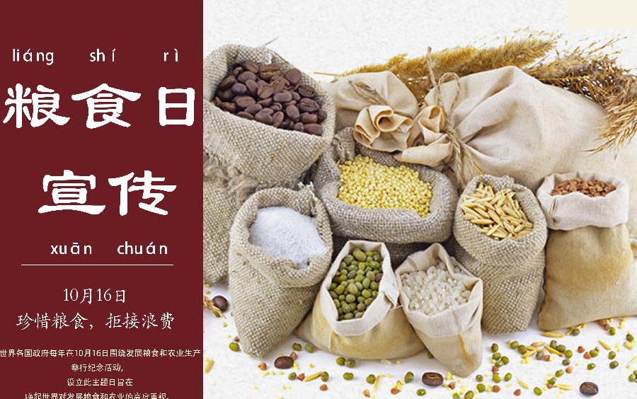 【世界粮食日·宣传】“悠悠万事,吃饭为大”—“青”听人大学子的...