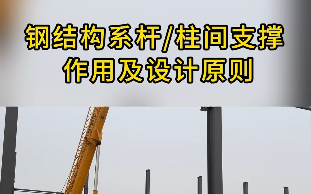 聊聊钢结构中的柱间支撑和系杆。#钢结构 #钢结构厂房 #钢结构工程...