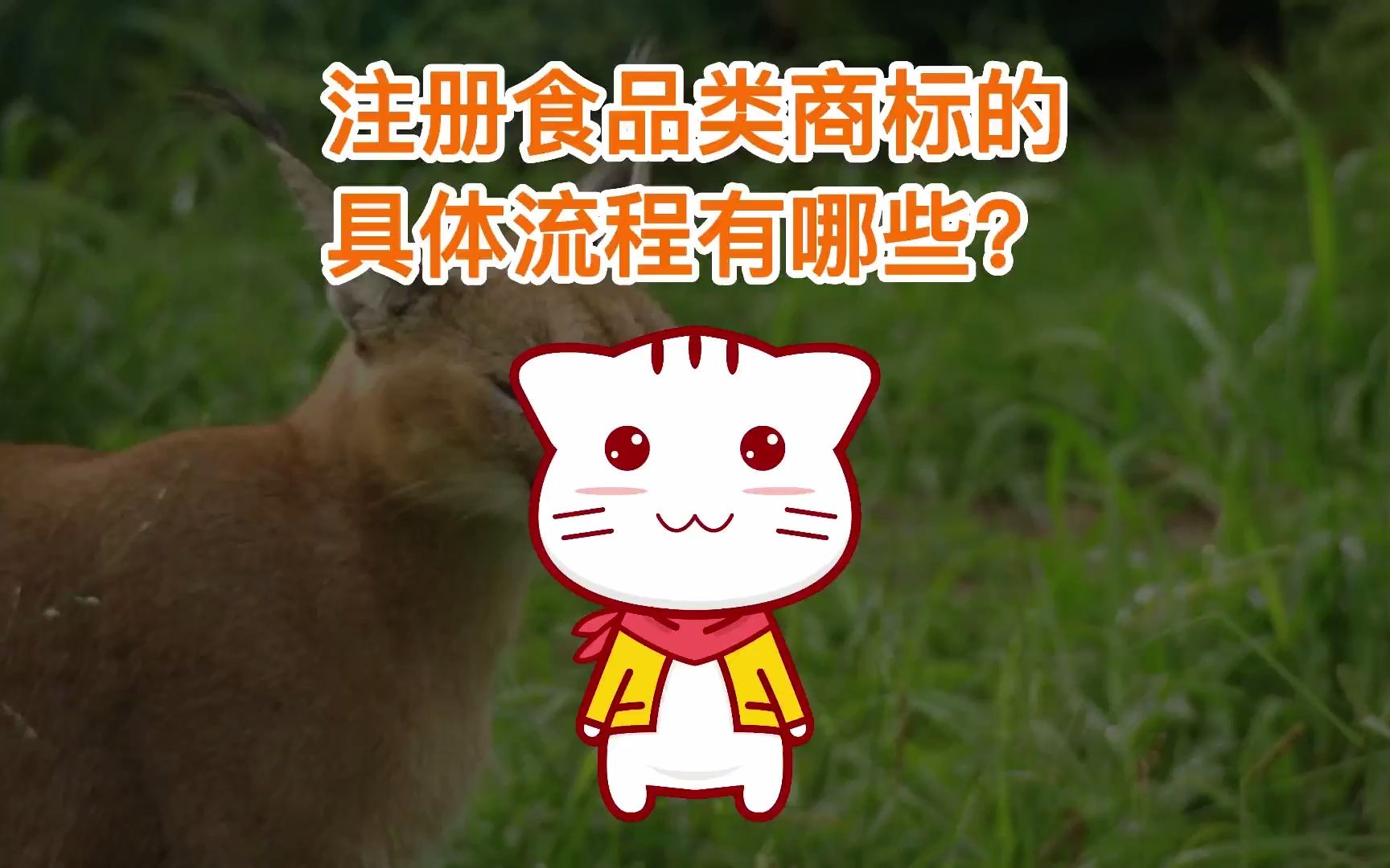 注册食品类商标的具体流程有哪些?#连云港商标申请