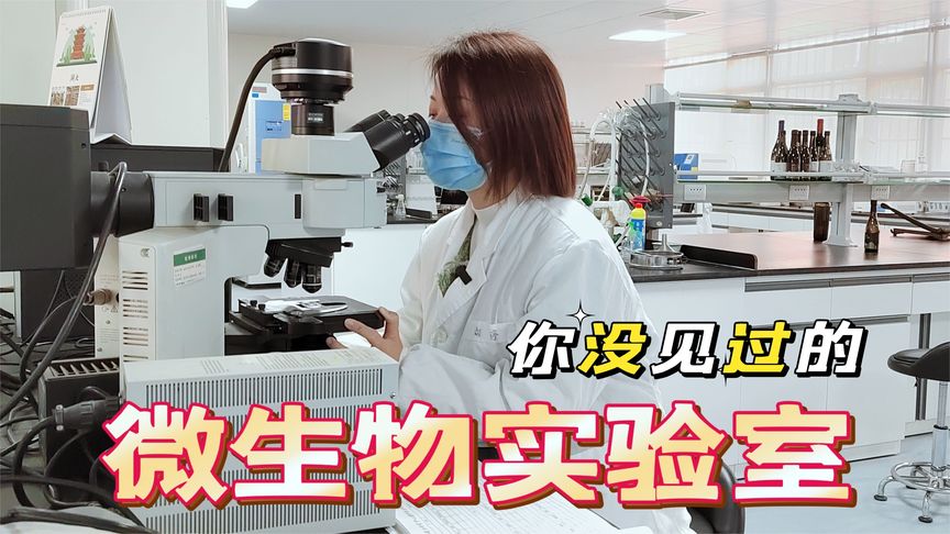 带你们看看武汉微生物实验室,好多人估计没见过…