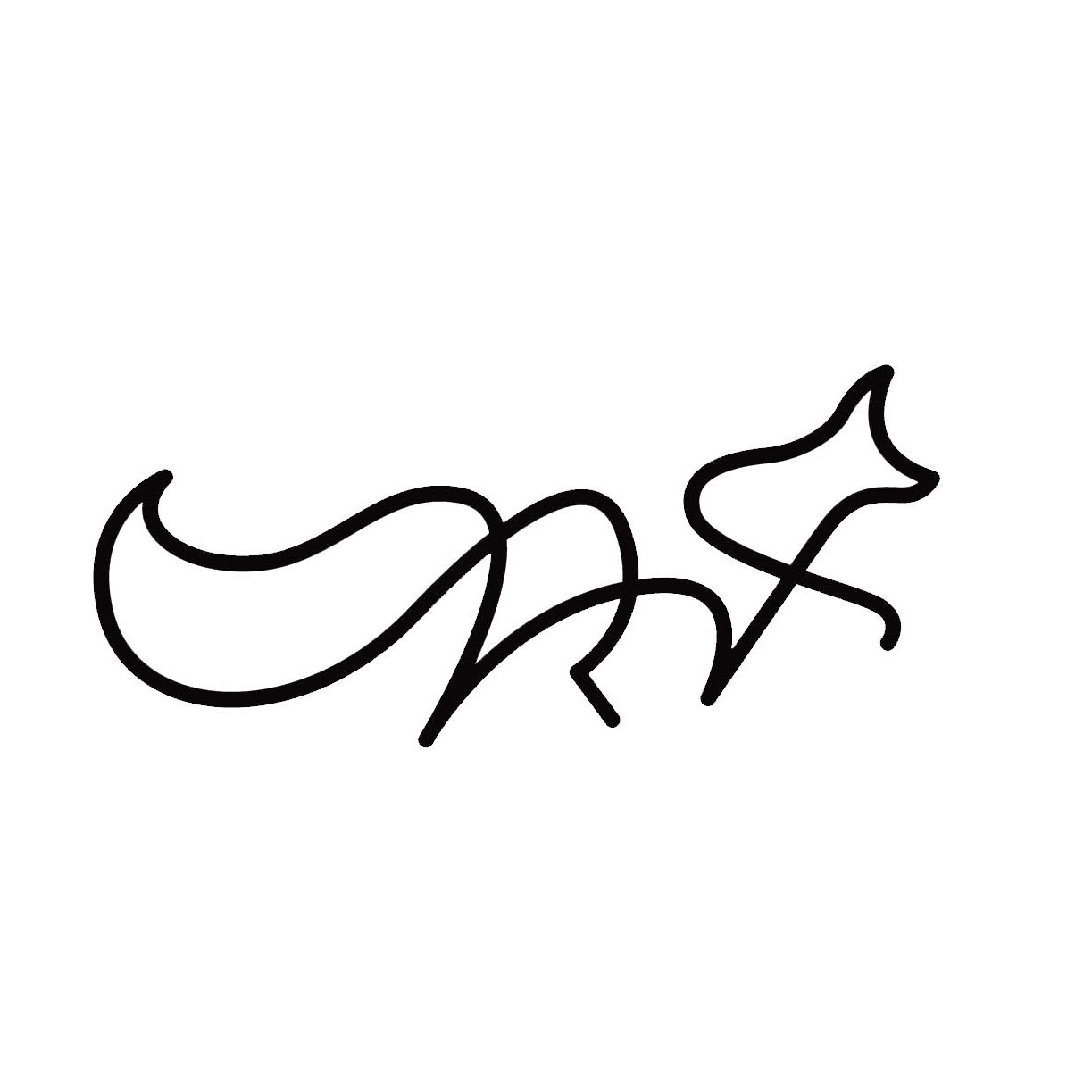 Chosfox哈狐 