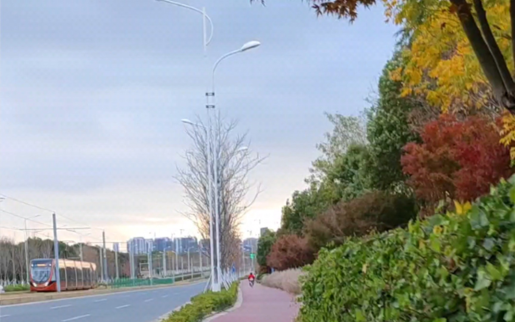 人生永远在路上系列-租一辆永安行自行车,看一看一路风景。