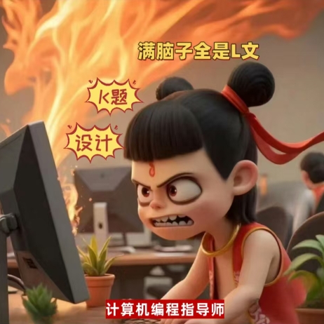 计算机编程指导师 