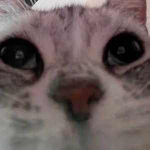 猜猜我为什么不笑 