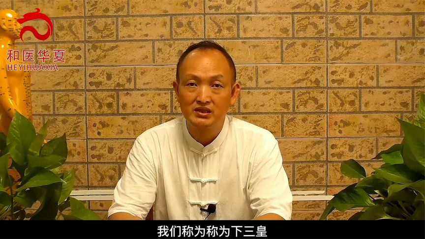 下三皇如何运用?中医专家魏玉成这么说