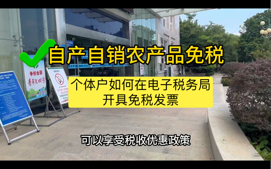 会计实操20|个体户如何在电子税务局开具免税发票