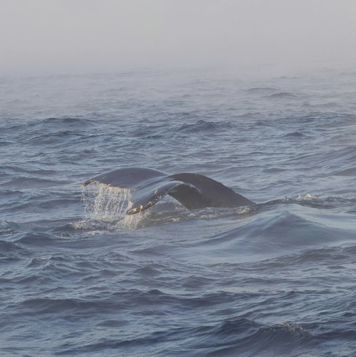 藏在名为好奇的盒子里 