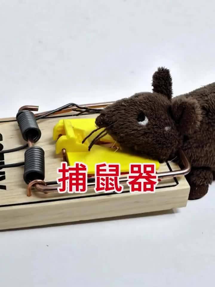 捕鼠器是,如何工作的?