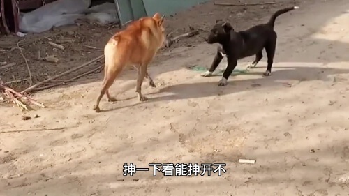 预算不够千万别硬买
