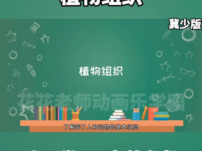 看趣味动画,学七年级上册生物知识点,植物组织