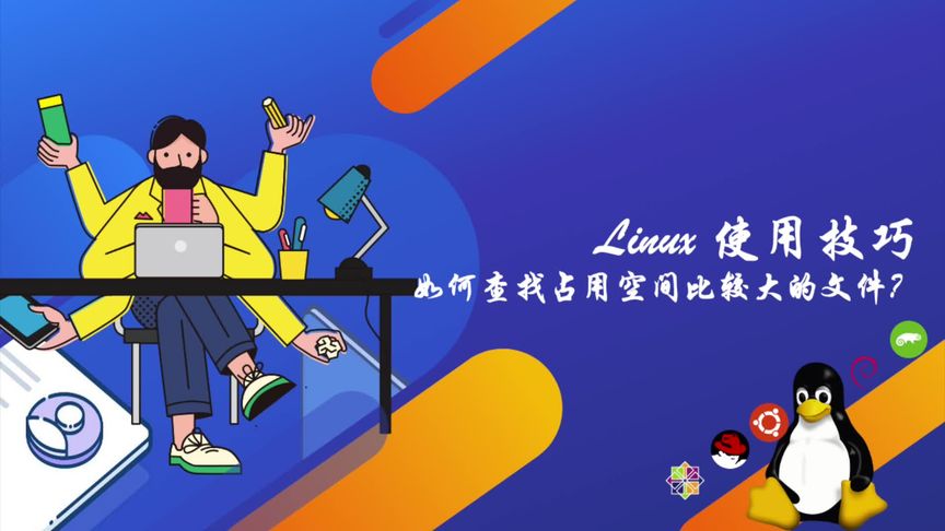 Linux 如何查找比较大的文件或目录
