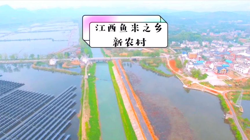 航拍江西一个县城的新农村,村庄规划好家家户户住别墅,风景真漂亮