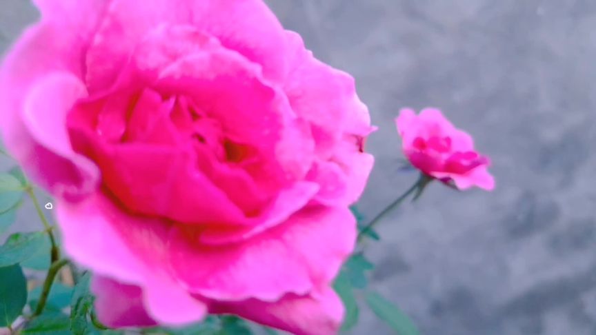 有的人生活和工作目标明确,每天都朝着目标迈进