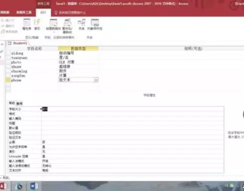 Access2016教程:字段属性补充讲解4