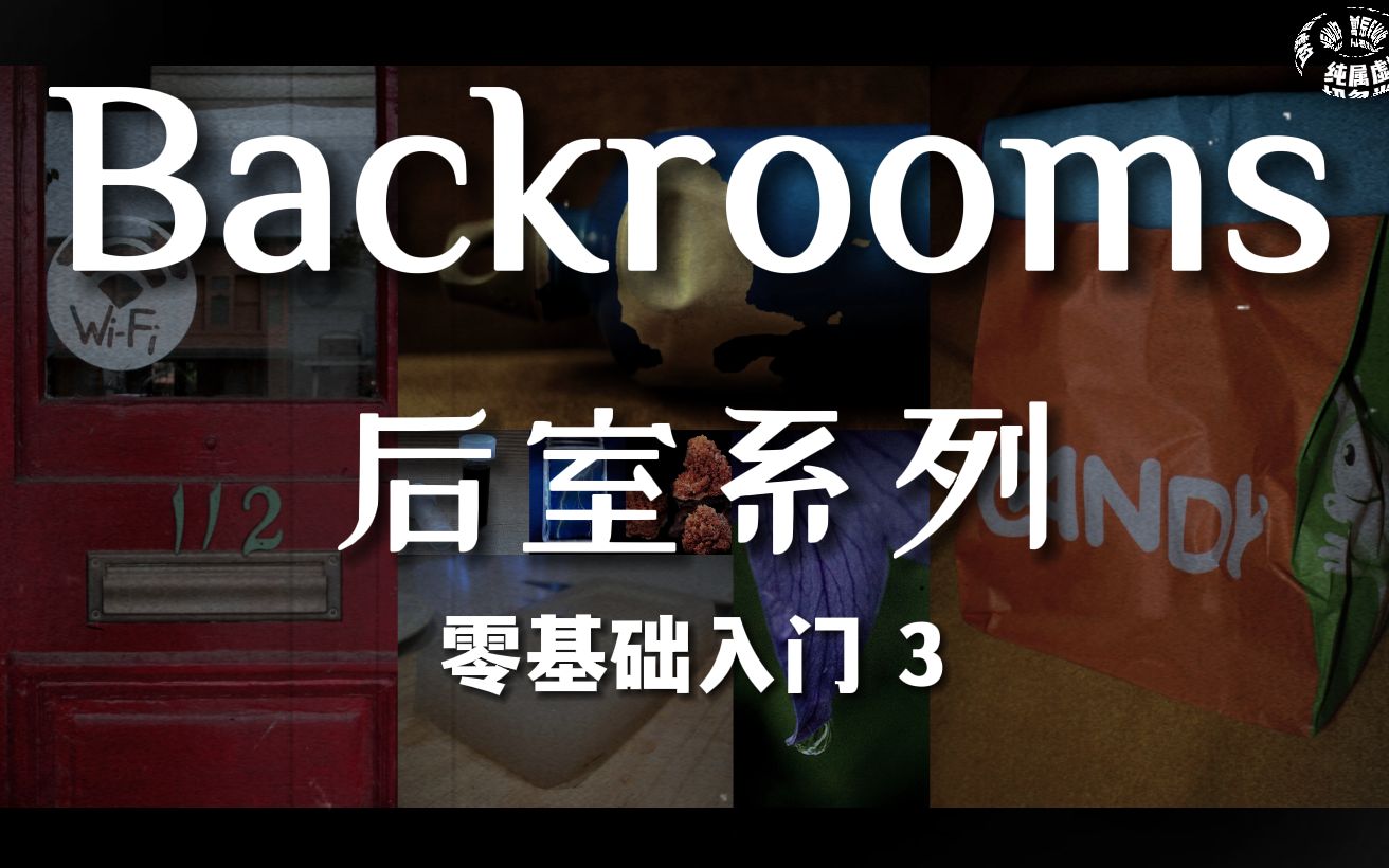 【Backrooms后室】第12期-入坑必看基础知识3