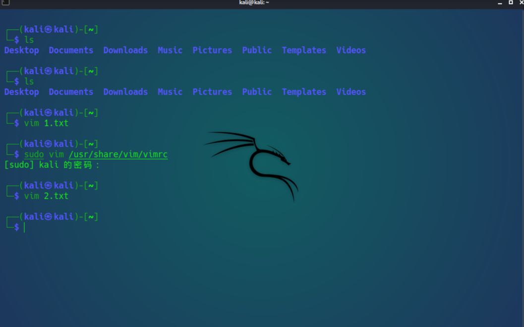 kali Linux 对vim的基本配置