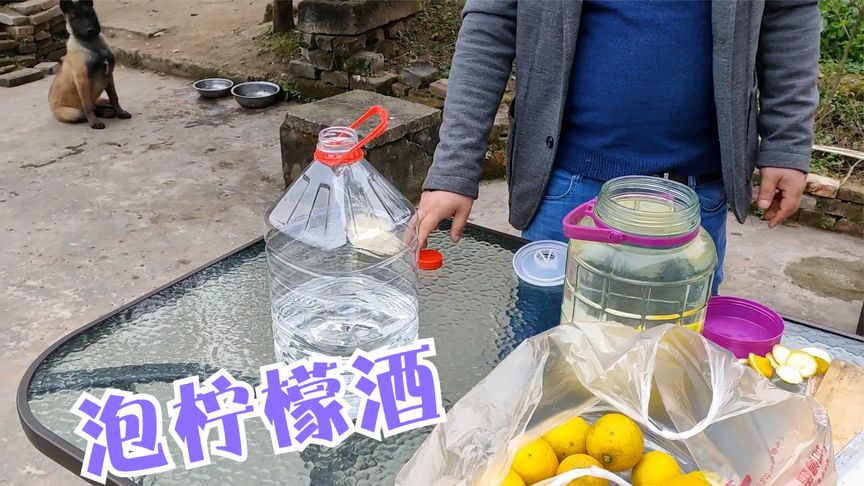 切点柠檬来泡酒,泡酒要不完,柠檬放白糖泡起,热天好泡开水喝