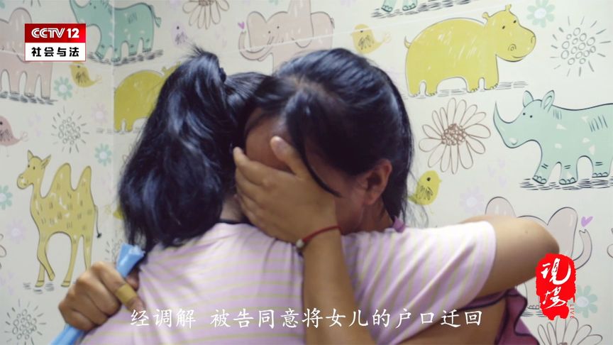 人民法院民事审判案件纪实——抚养权争夺战
