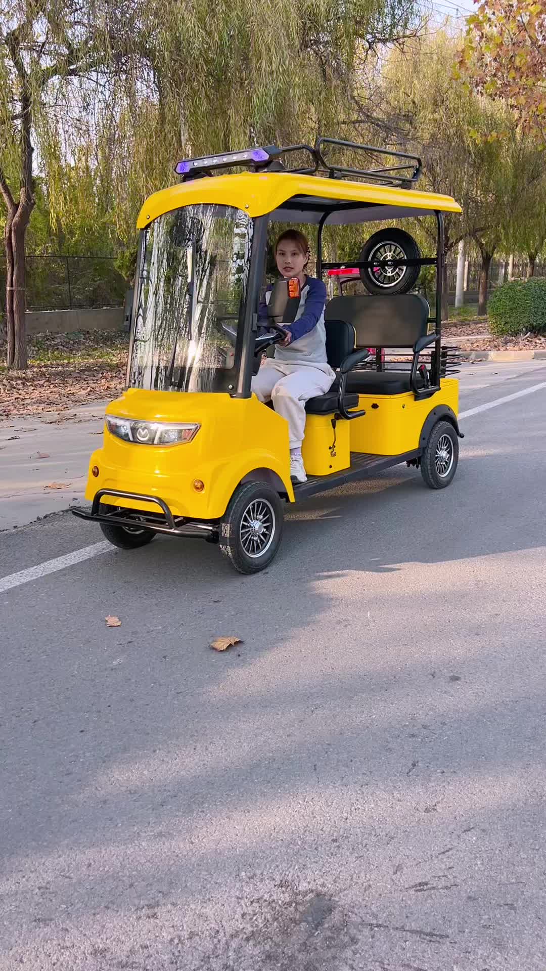 M5型号 #老年代步车家用电动四轮车 #电动观光车旅游景区厂家直销 #...