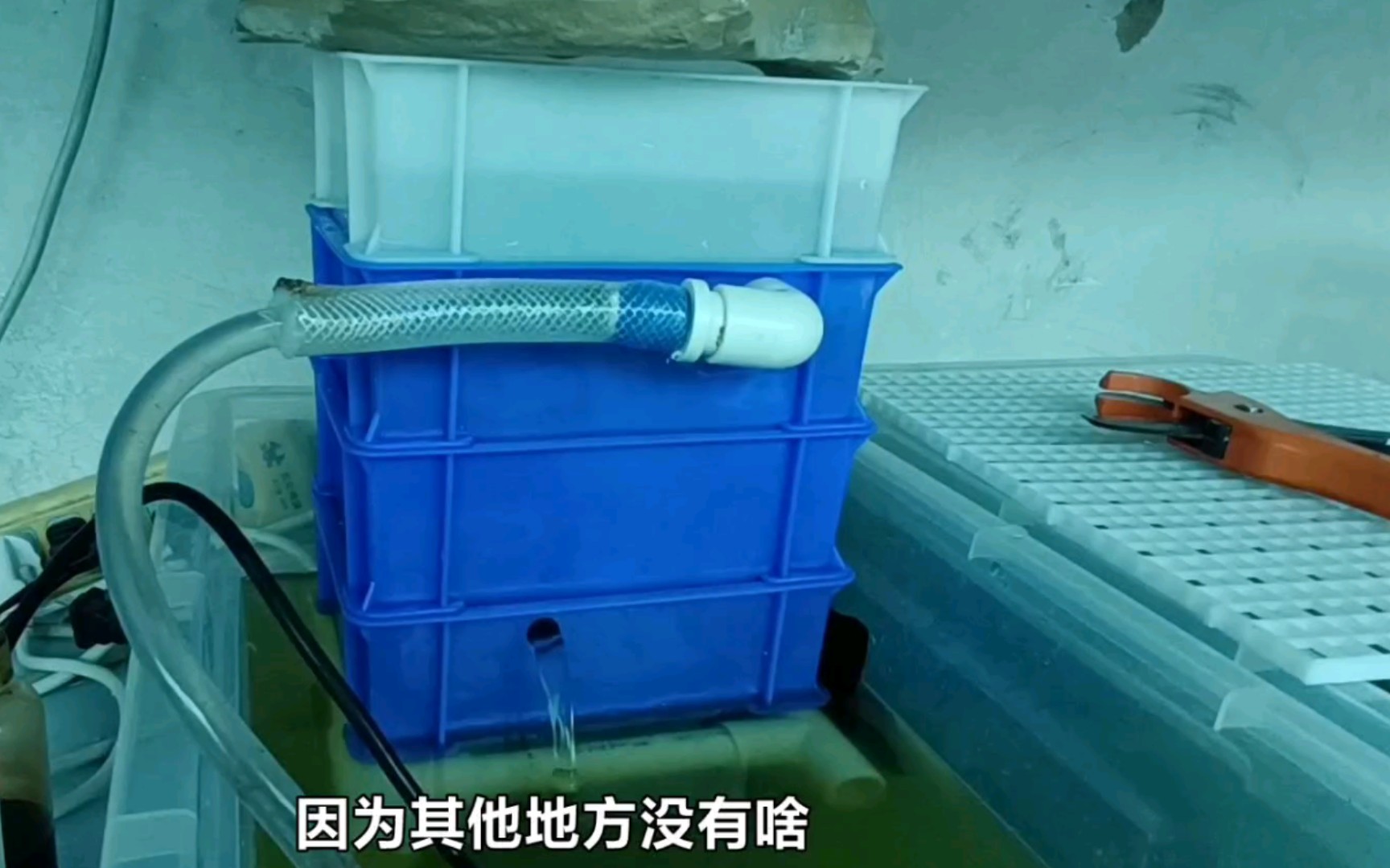 【DIY养鱼养龟过滤盒,做个滴滤盒】养龟必备神器。龟缸鱼缸滴滤盒(...