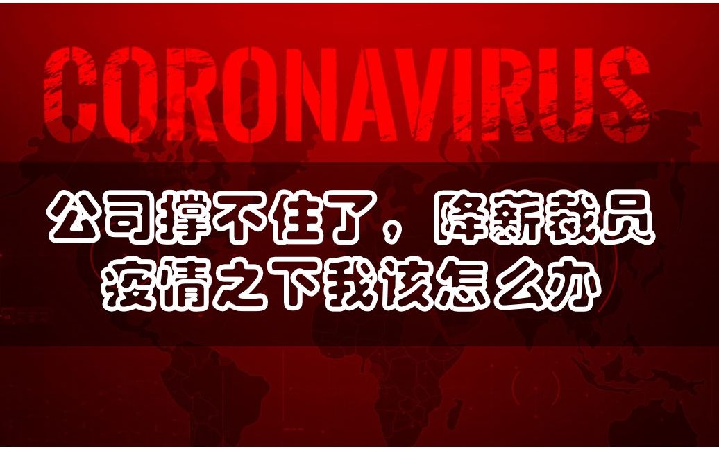 疯了!公司裁掉了60%的员工|带你走进全英文商务会议(中英字幕)