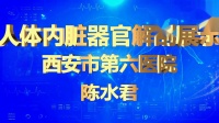 人体模型解剖示意图