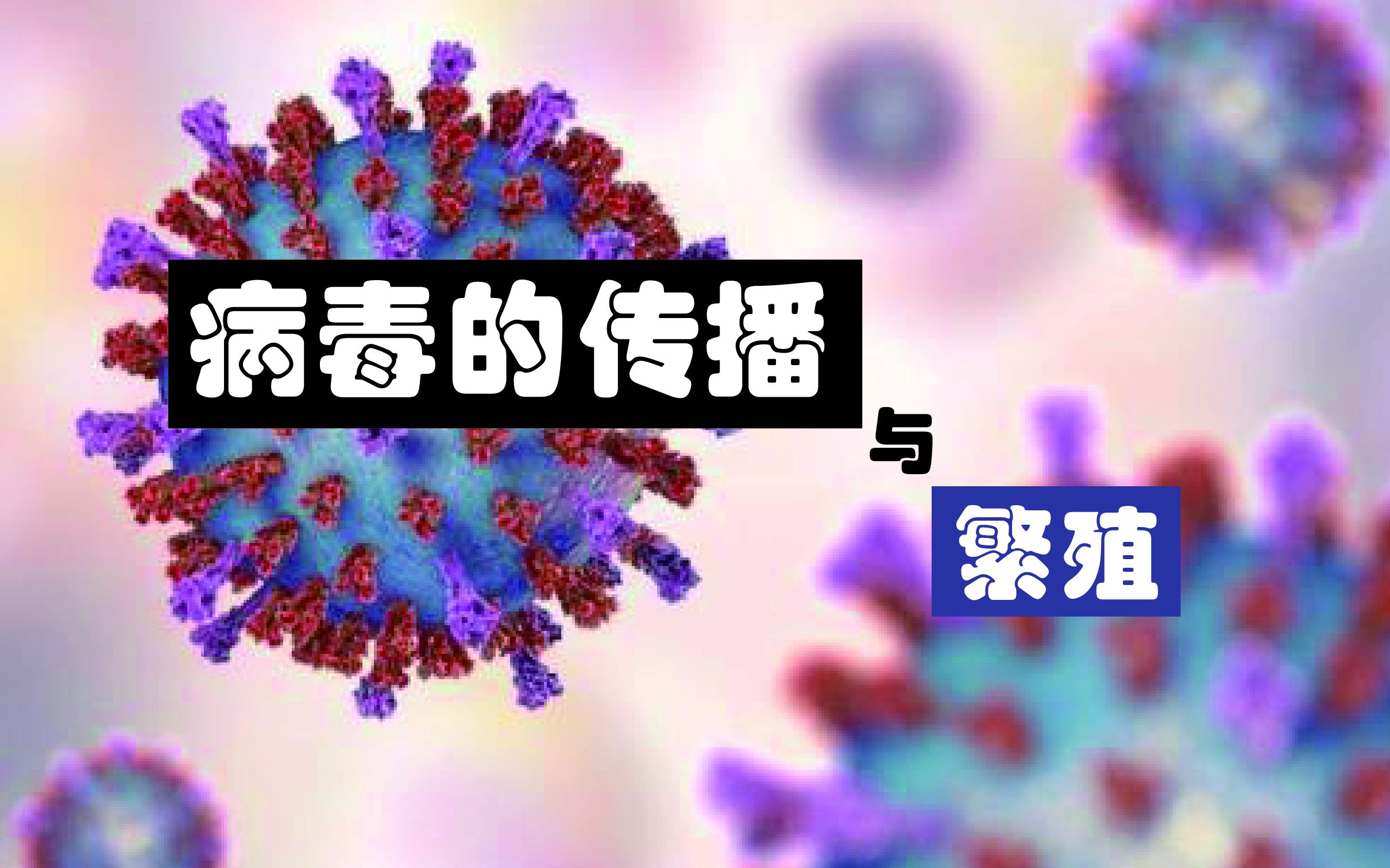 病毒的传播与繁殖