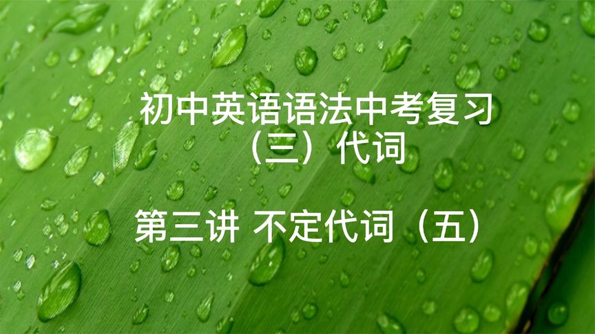 初中英语语法中考复习(三)代词 第三讲 不定代词(五)