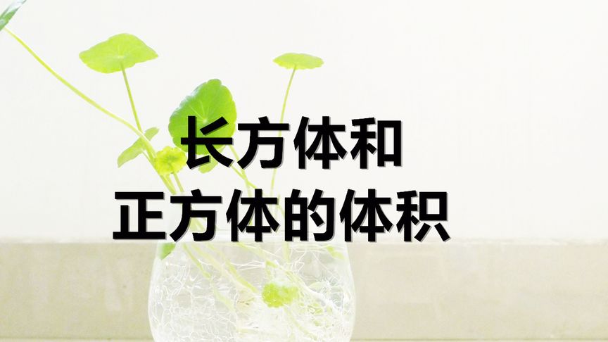 长方体和正方体的体积