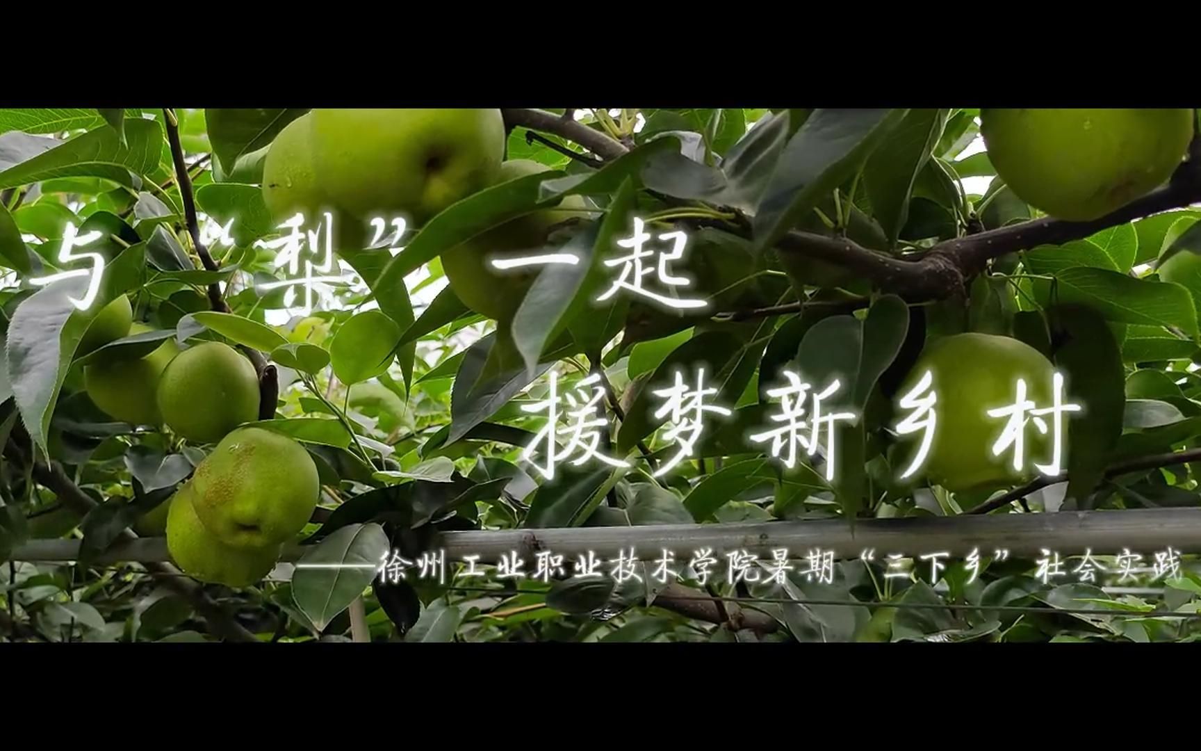 徐州工业职业技术学院-信息工程学院-“与‘梨’一起,援梦新乡村”...
