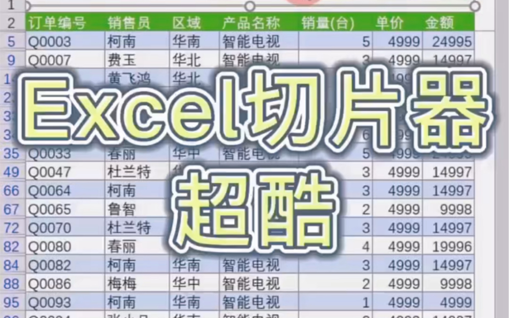 #excel技巧 Excel切片器,学会这招再也不用来回查找了。#0基础学电脑 ...