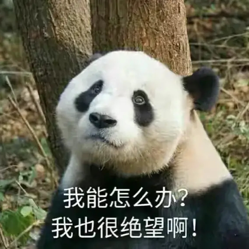物理原来可以这样学 