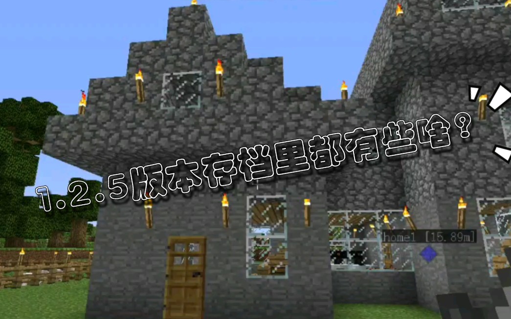 【我的世界】无意中找到了1.2.5版本的存档,上去看看…