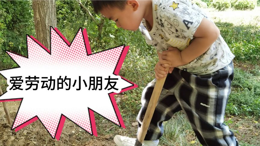 近日教育部通知9月1日起劳动课是一门独立的课程,从小培养爱劳动