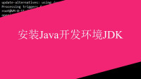 教你轻松在Debian系Linux环境下安装配置Java环境,小白也能学会!