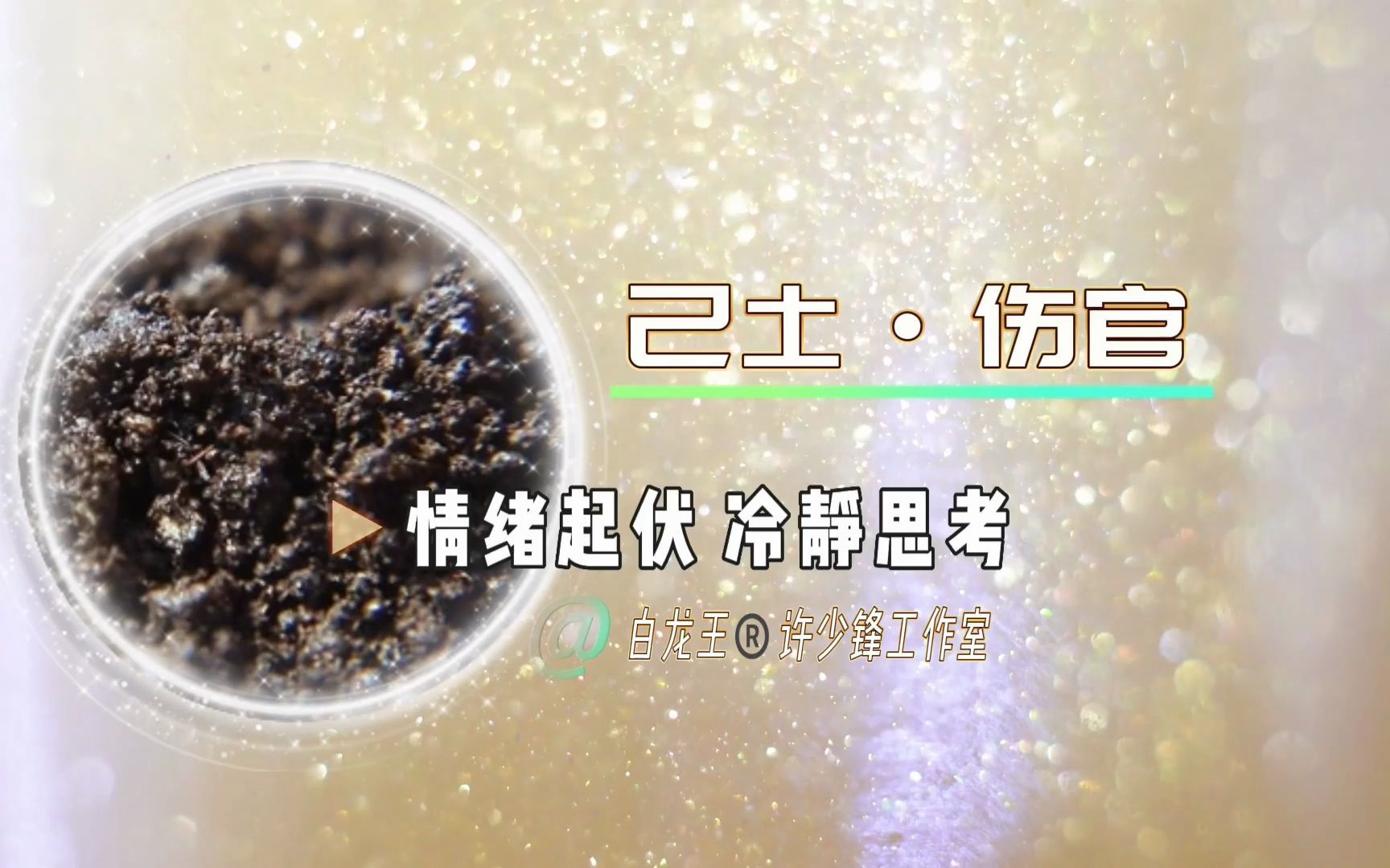 庚戌月【10月8—11月7日】十天干运势