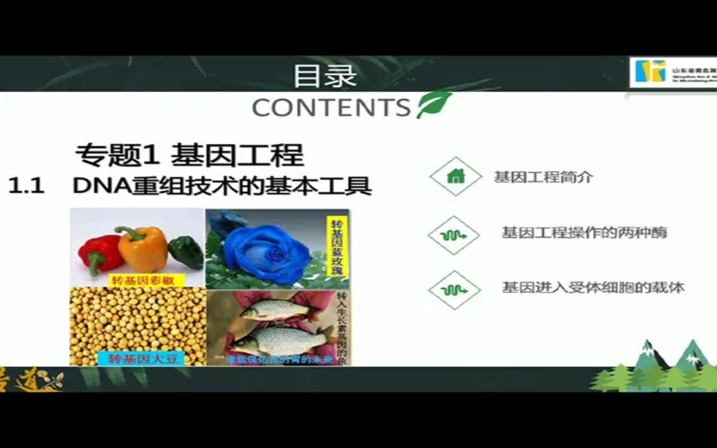 DNA重组技术的基本工具