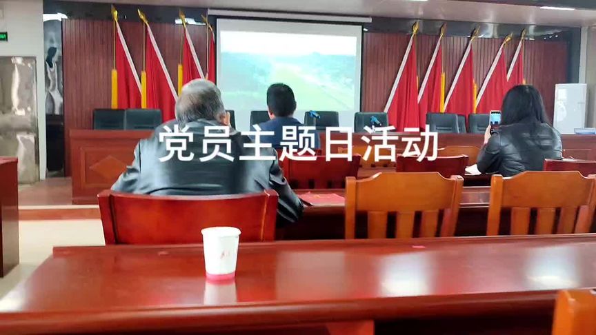 党员主题日活动