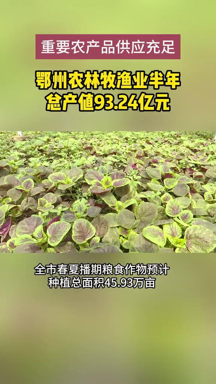 鄂州市重要农产品供应充足农林牧渔业半年总产值93.24亿元增速...