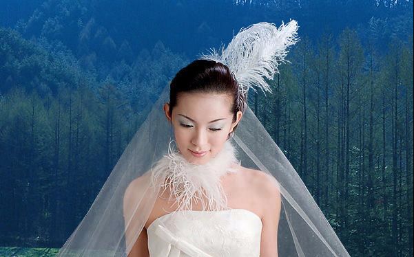 PS高级抠图教程 如何扣取透明婚纱物体 看完视频就知道了