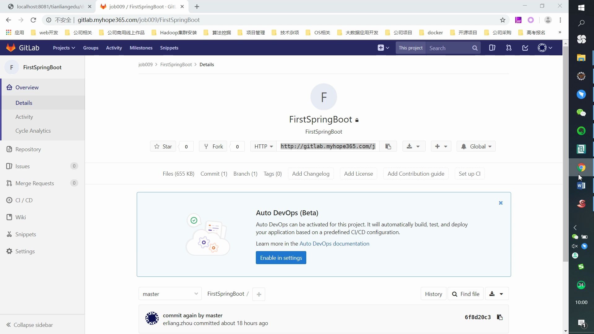 【springboot从入门到实践】04_代码同步到gitlab中