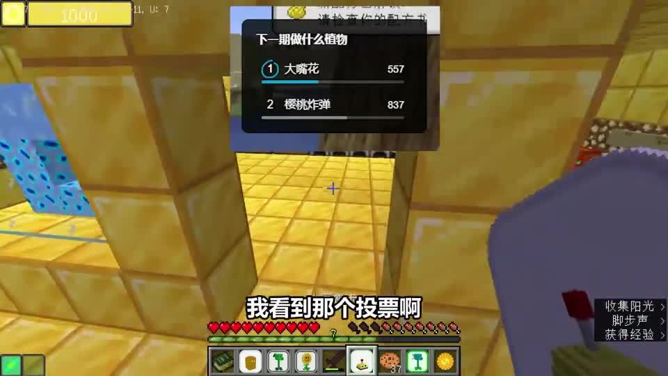 我的世界:植物大战僵尸,僵尸开始入侵了!