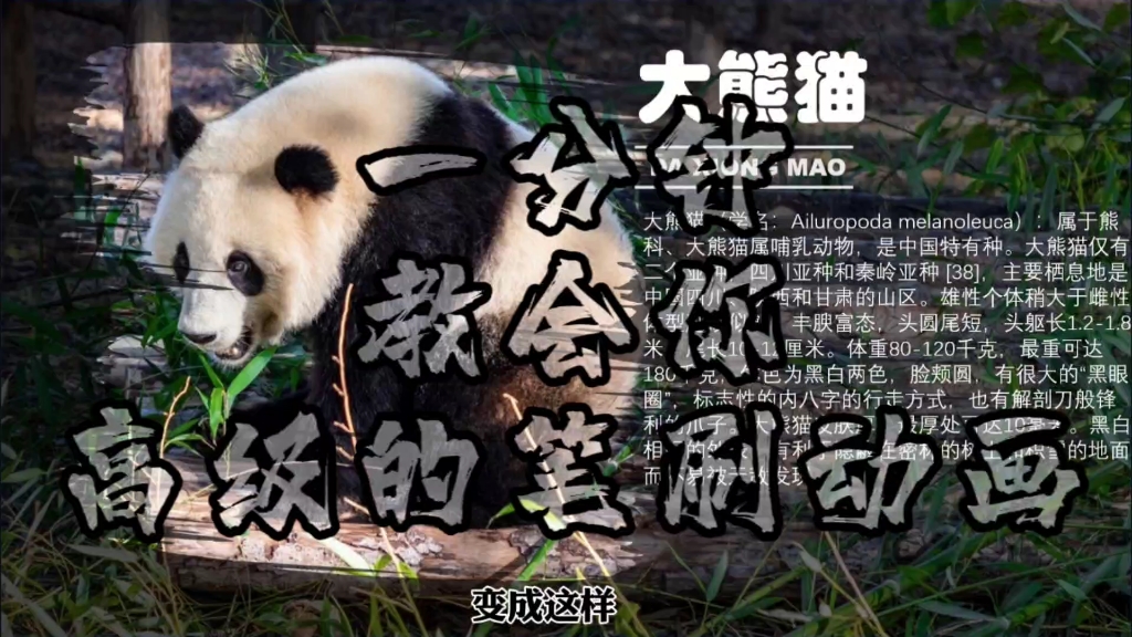 一分钟教会你制作PPT笔刷动画效果～[三弟只做PPT]