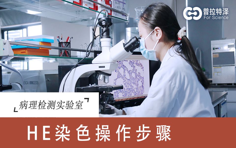 HE染色的操作步骤,简单好学